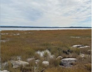 Programme Hydro-Québec : plus de 360 000 $ pour des projets de ...